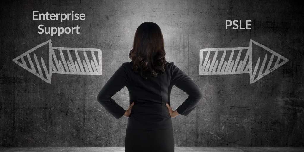 SAP PSLE: Finding the Right Support Model for Your Organization